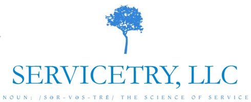 service-try noun; /sər-vəs-trē/ the science of service