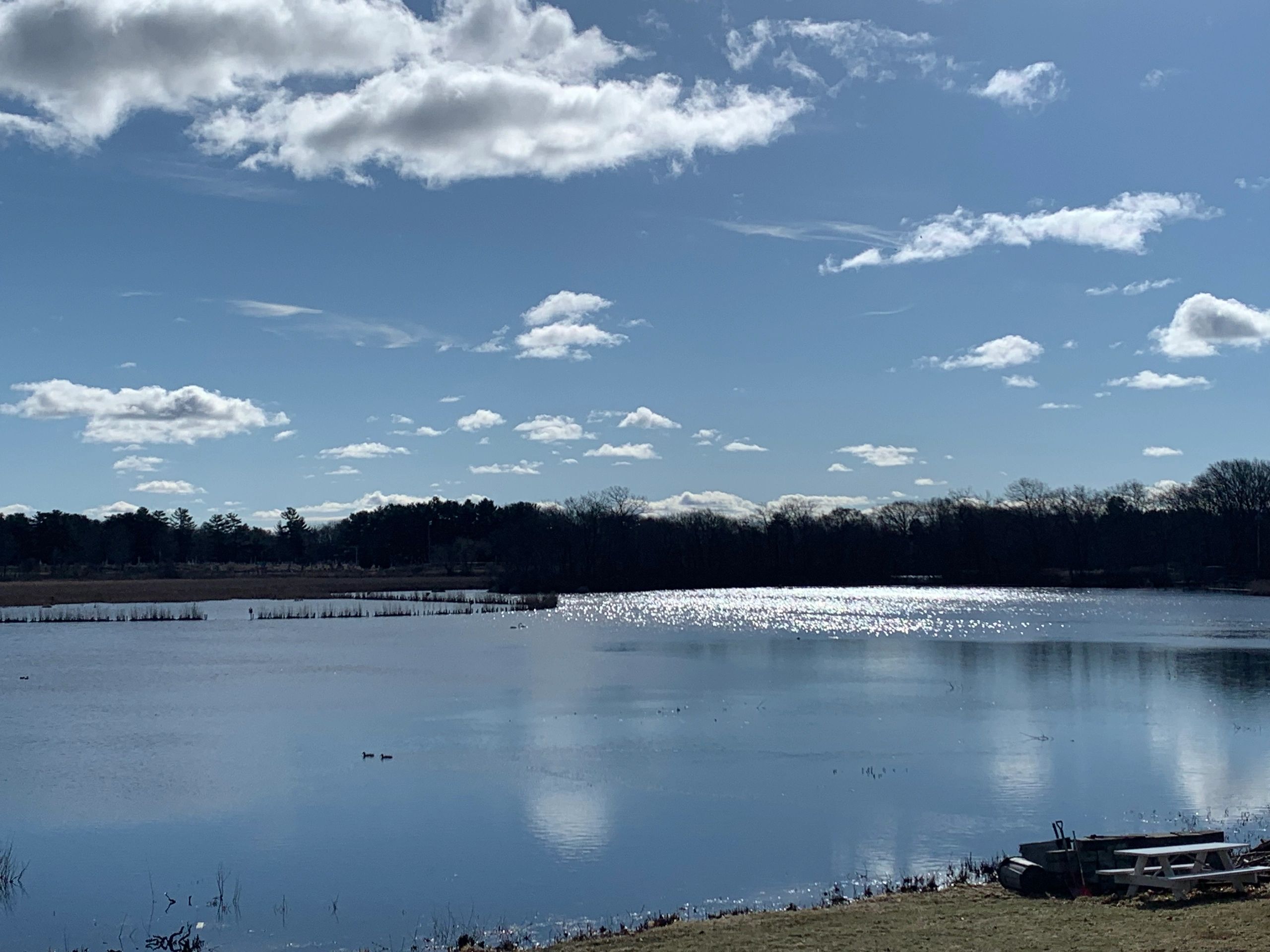 Cedar Swamp Yacht Club - Premier Marina