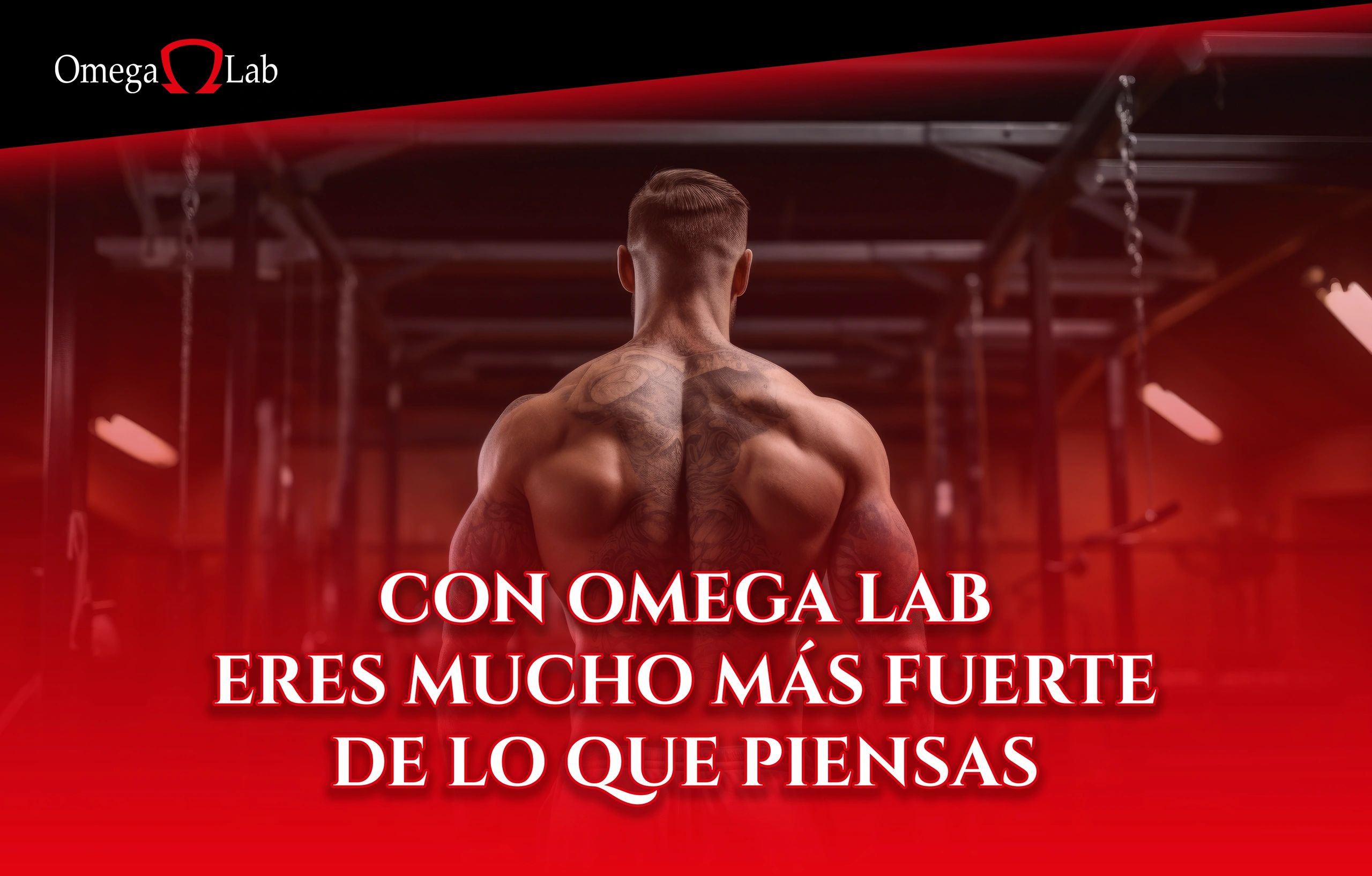 Omega Lab - Sostenon Omegalab, Ventas