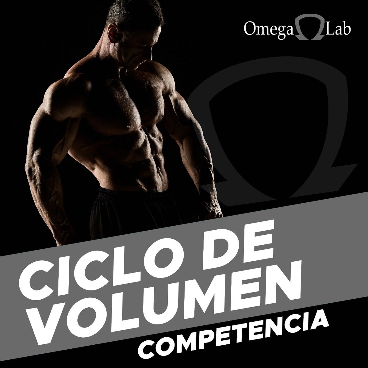 CICLO VOLUMEN AVANZADOS