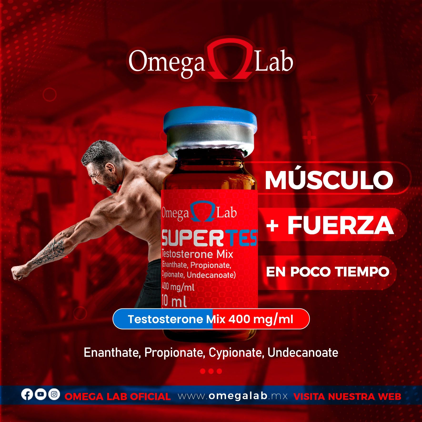 Omega Lab - Sostenon Omegalab, Ventas