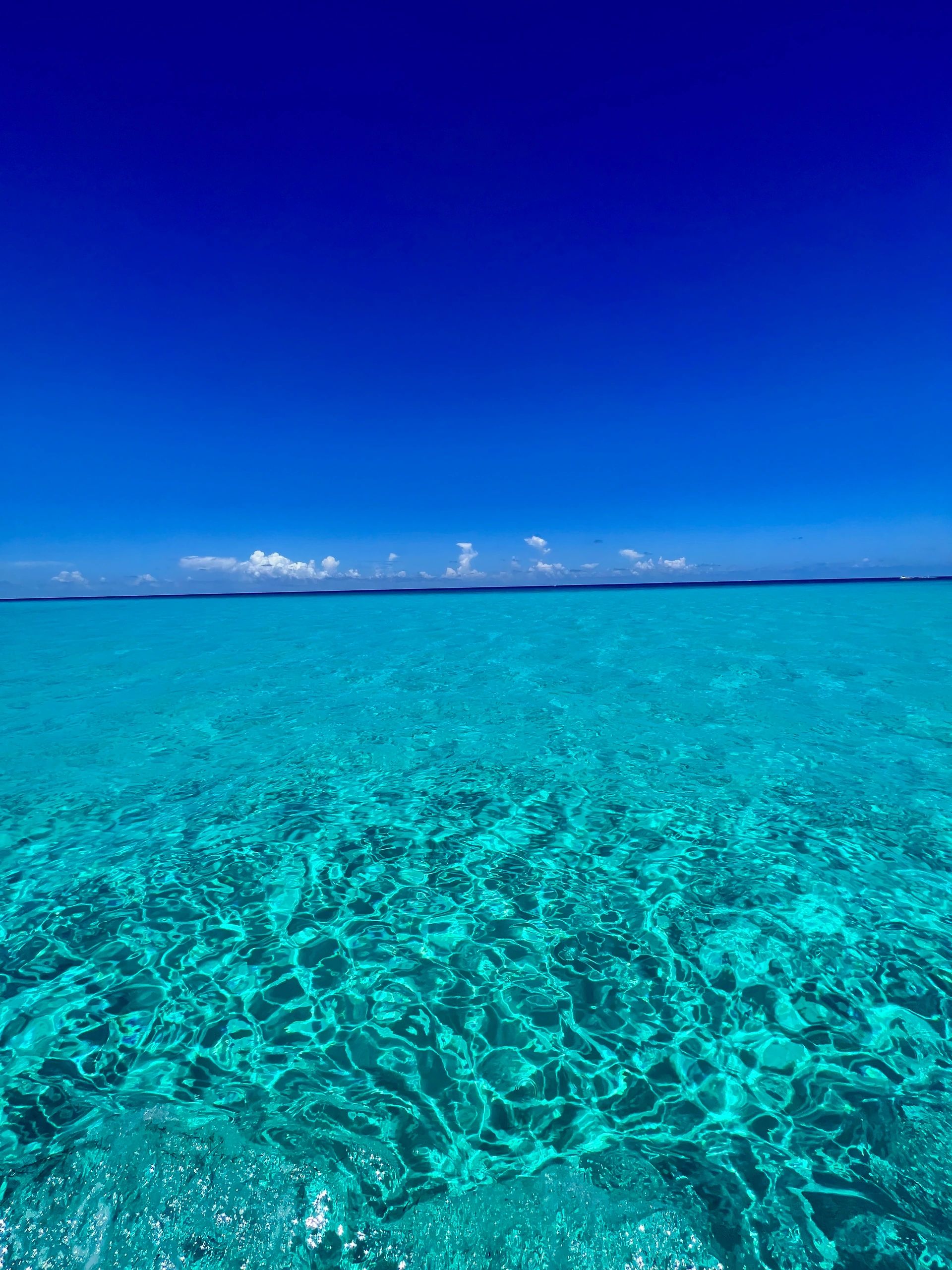 Join the Ultimate Bimini Boating Group at Robalo Owners Bimini Bash