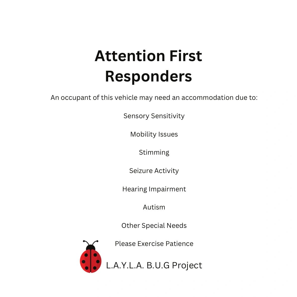 Supporting Those With Special Needs through The Layla Bug Project