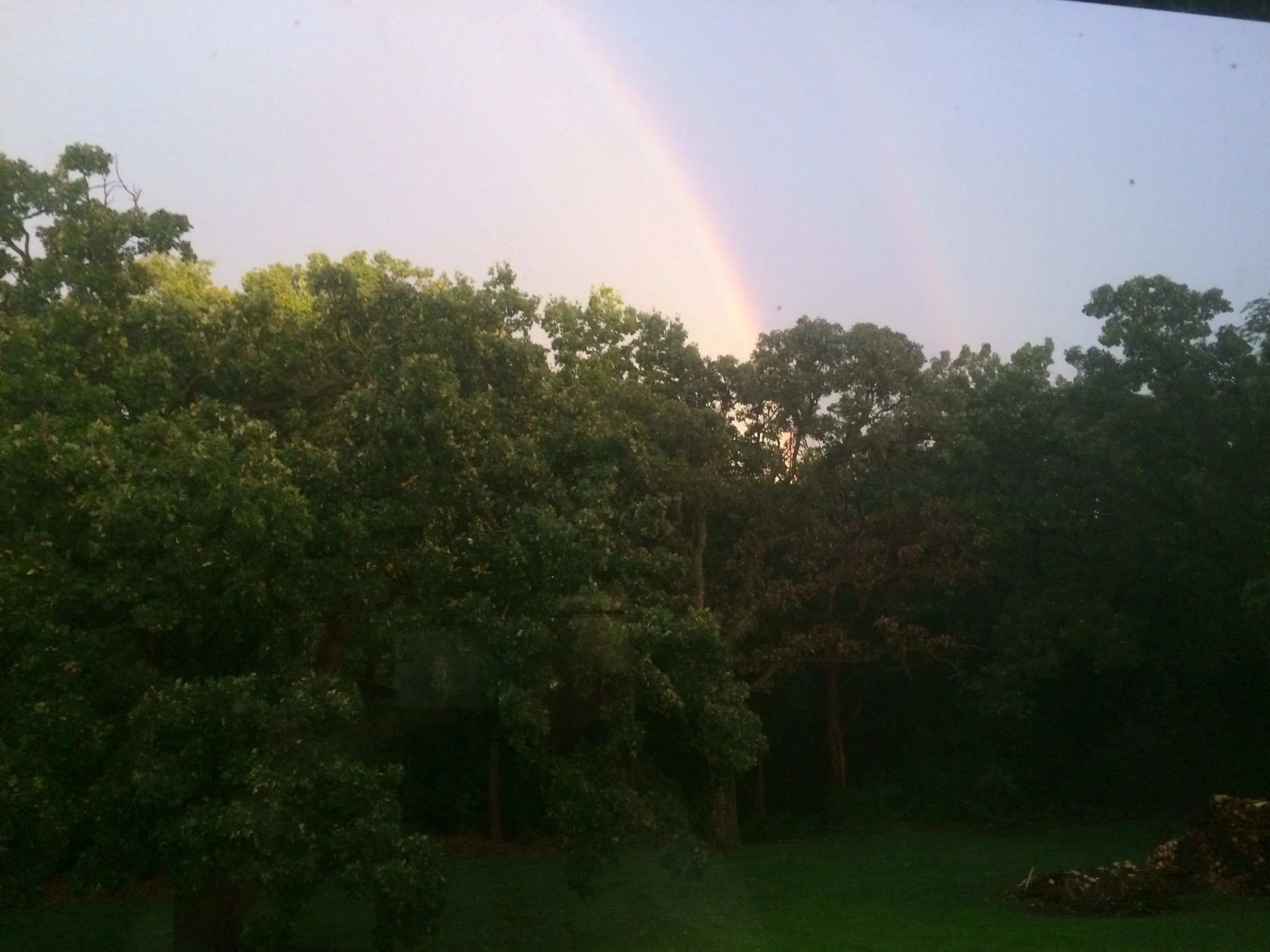 U Betcha Tree Services