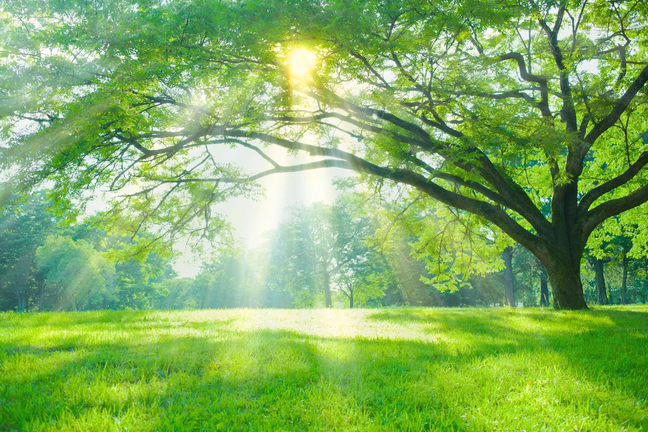 COCAINE & METH TREATMENT