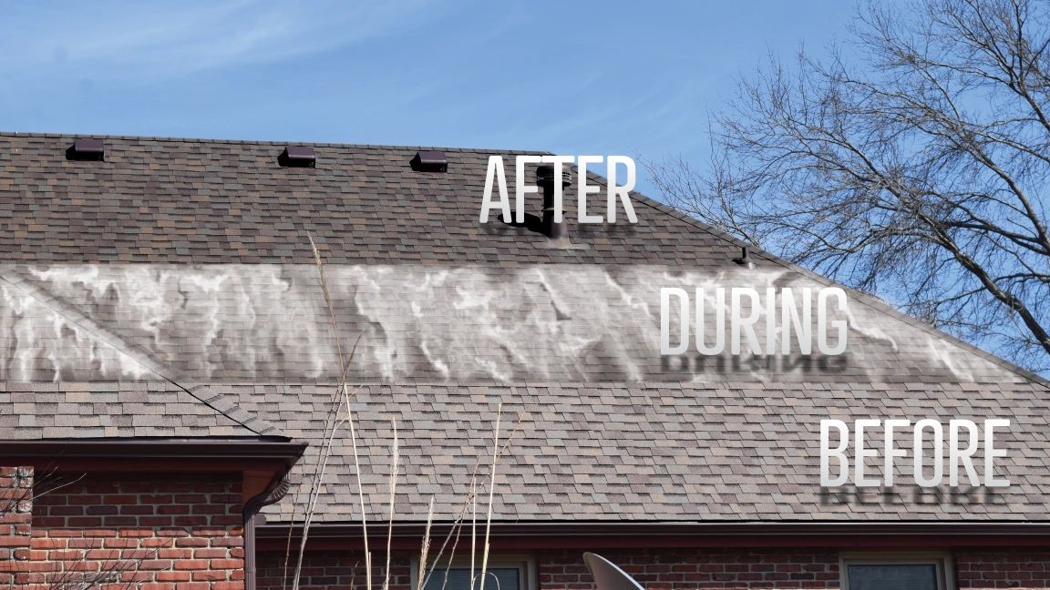 Roof Refresh - Roof Restoration, Roof Rejuvenation