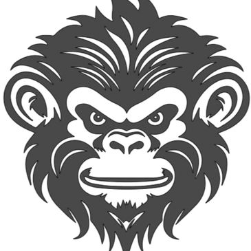 crazy ape pickleball