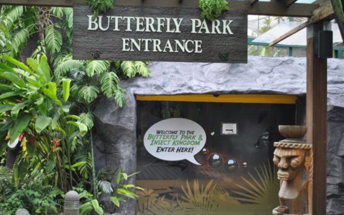 Butterfly Park And Insect Kingdom
