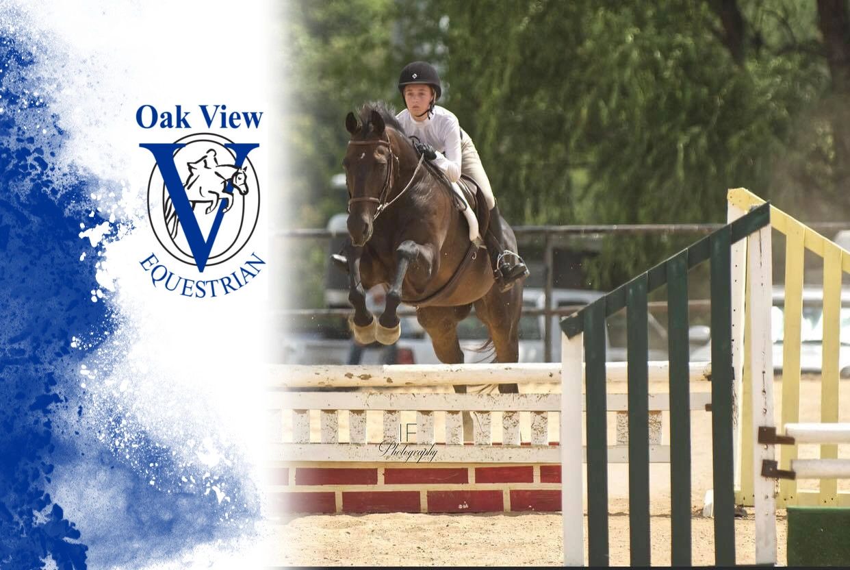 Oak View Equestrian
