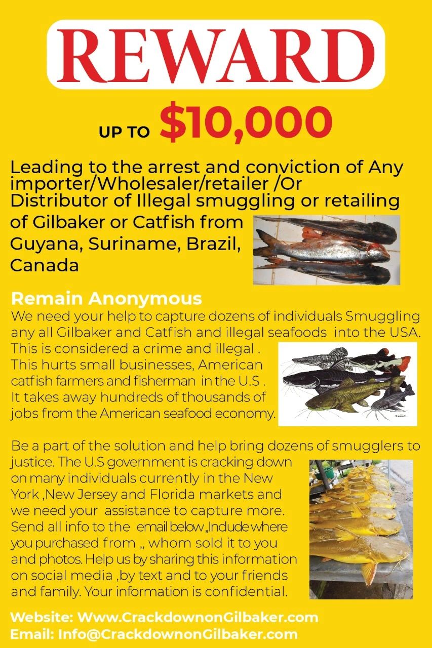 Crack Down on Gilbaker