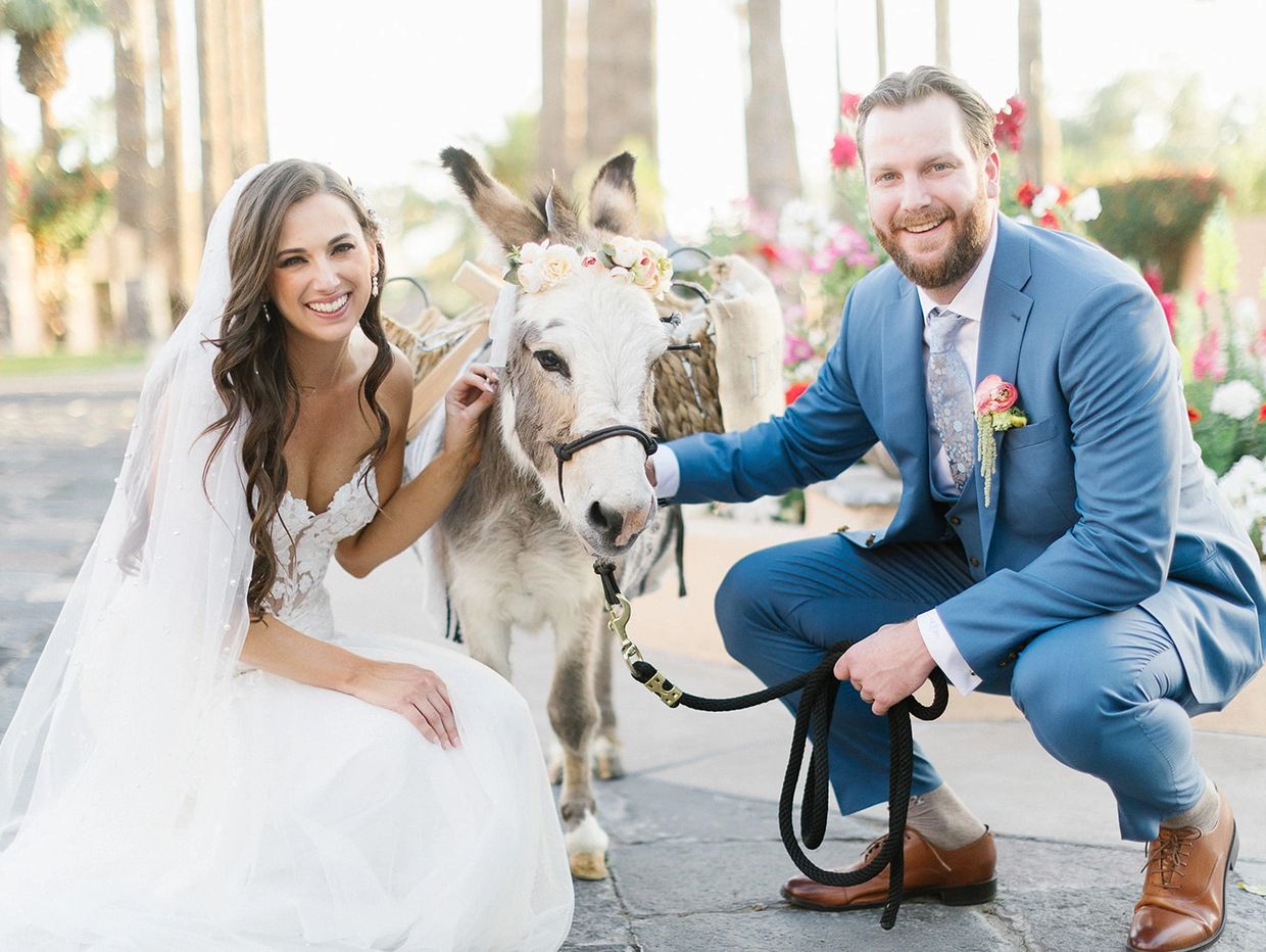 Beer Donkey - The Ultimate Beverage Burro