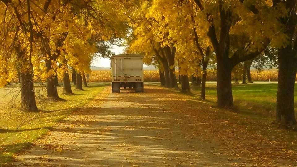 Farm, Repair - Runyard Grain Farm - Oconomowoc, Wisconsin
