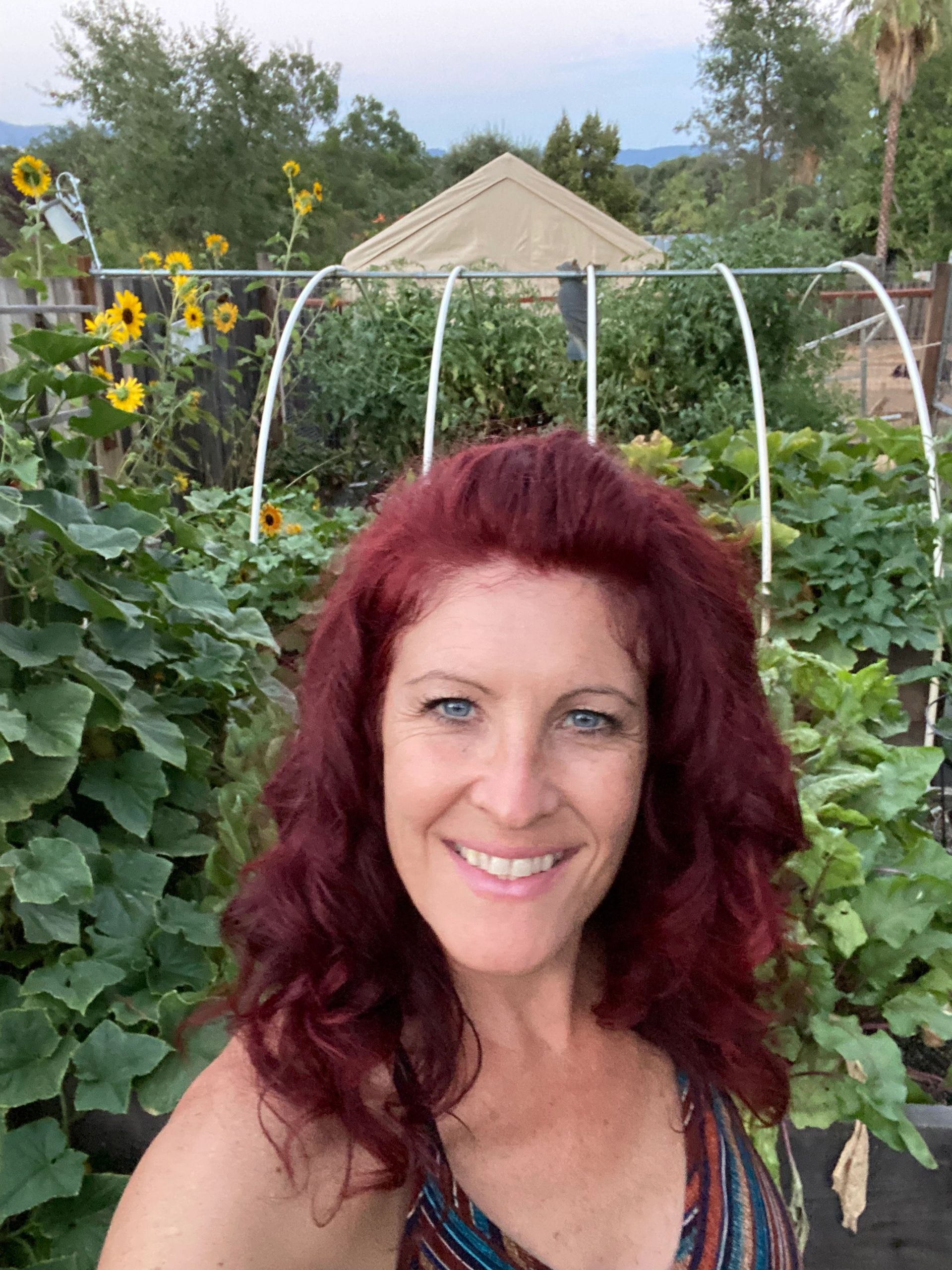 Guillory Farm - Farm Fresh Eggs, Farmers Market, Produce Farm