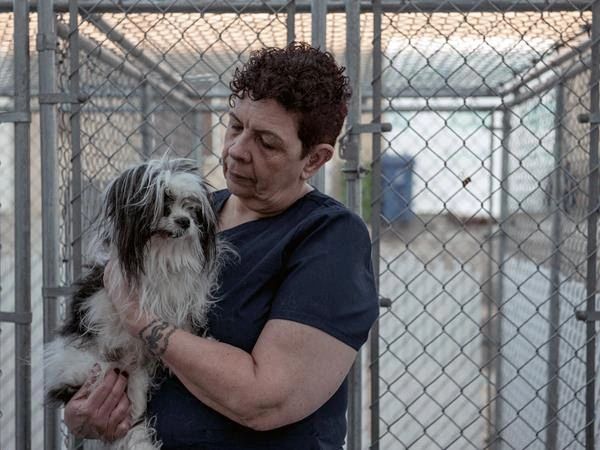 An Interview with the creator of MURMUR