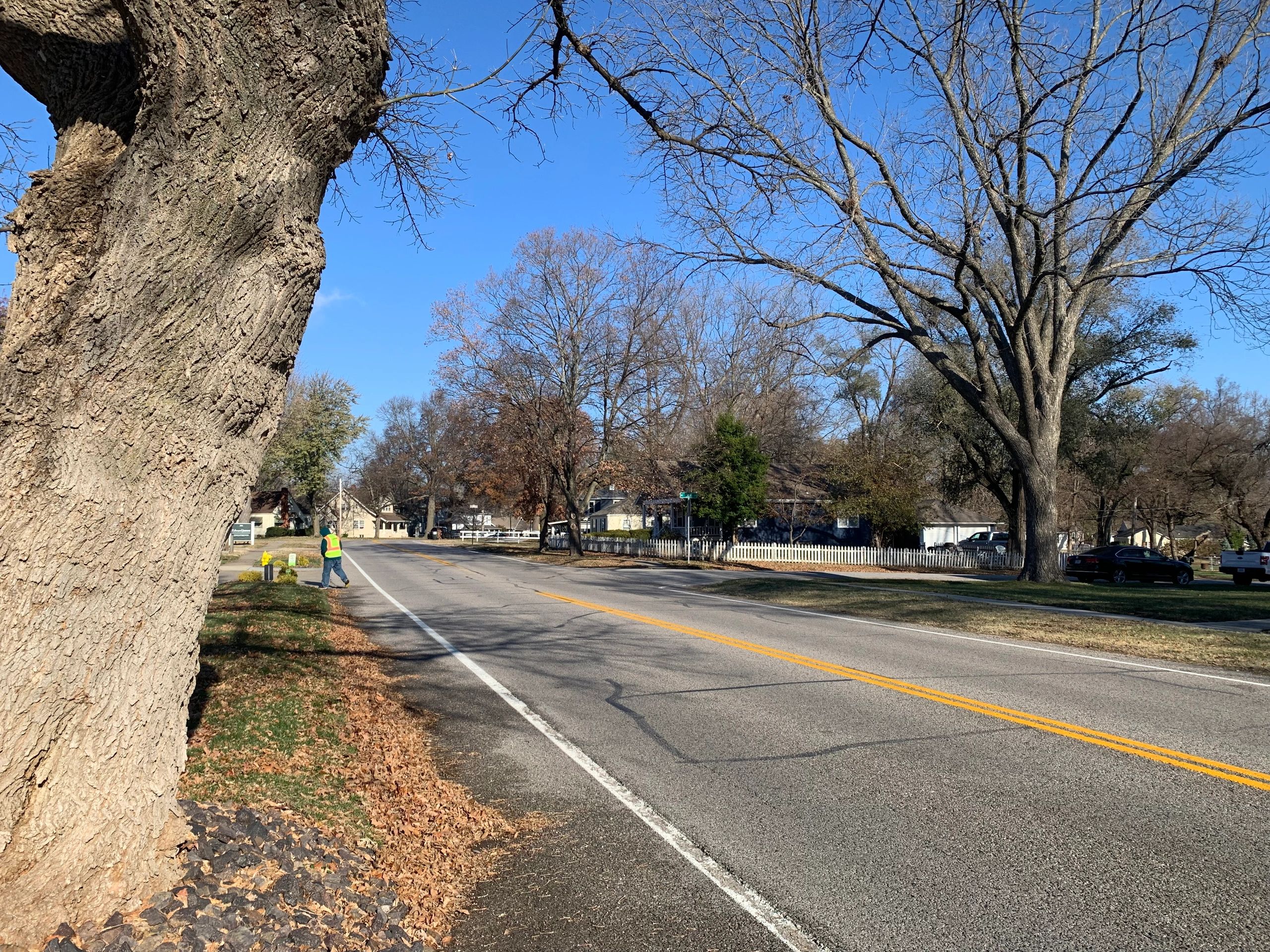 Lee's Summit - Douglas Street