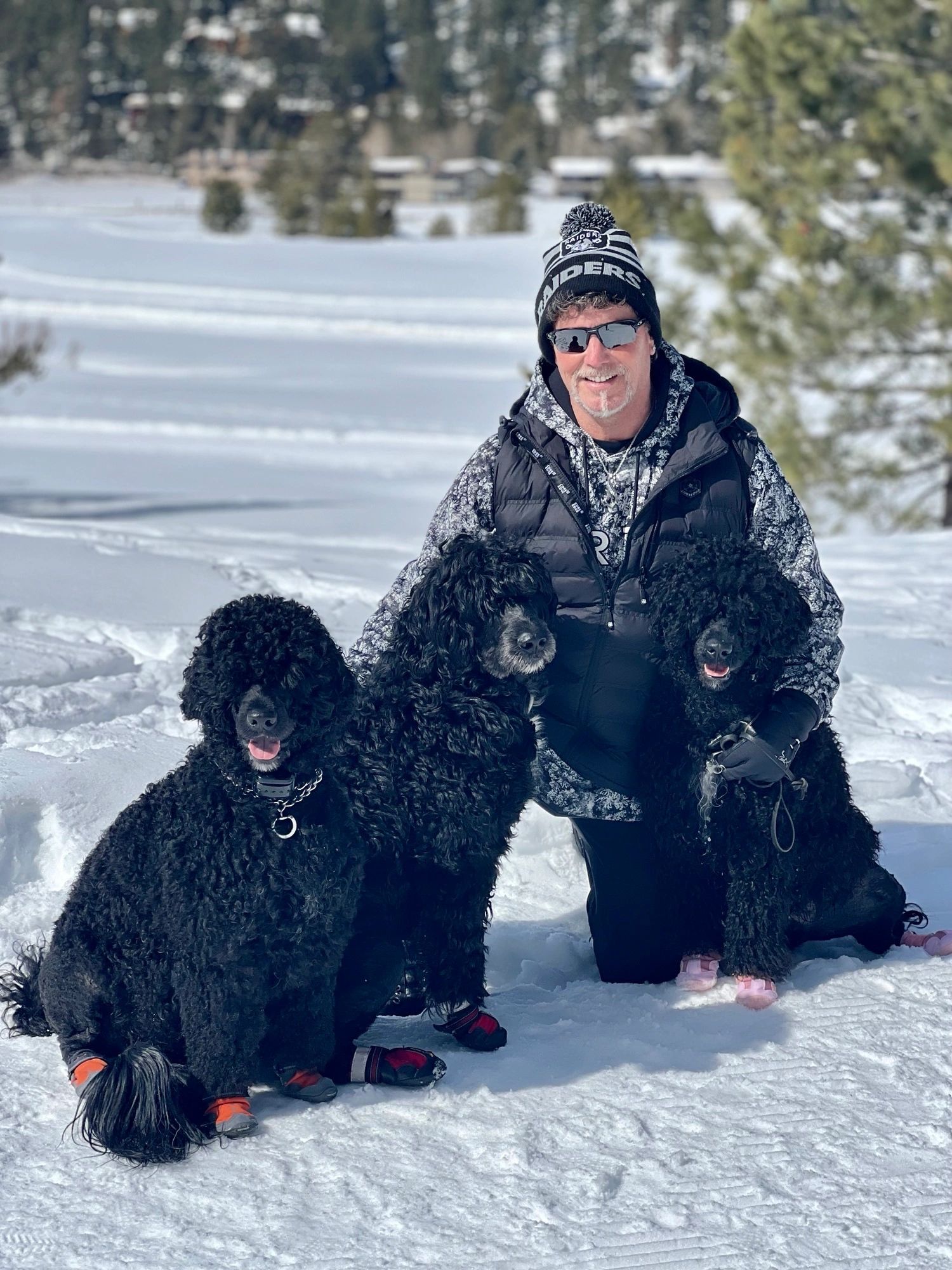 Lukos Portuguese Water Dogs