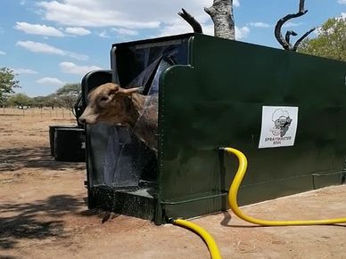 Badger Livestock Equipment - Cattle Equipment, Livestock Equipment