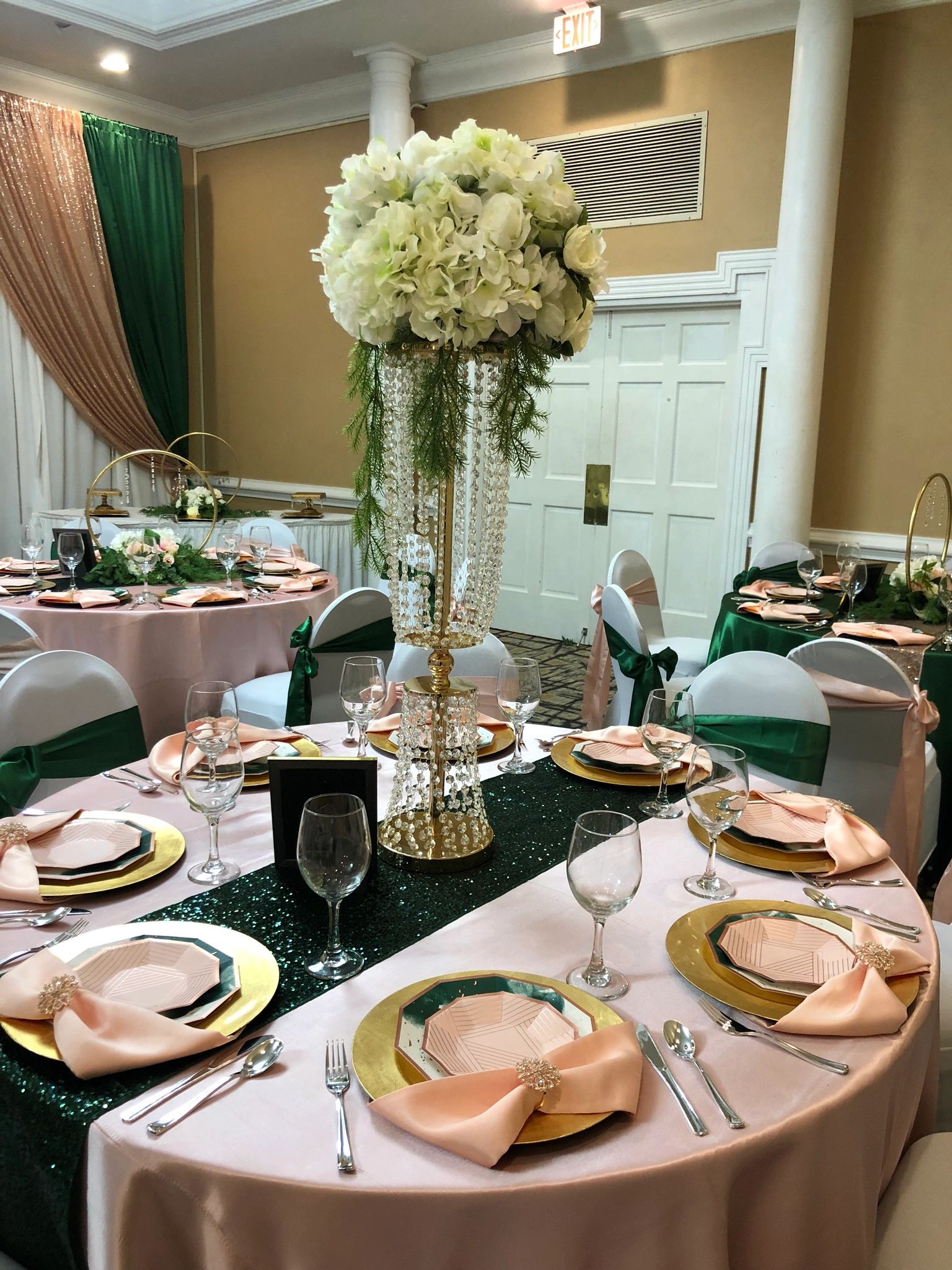 Franasonic Events Management LLC - Event Planner, Party Planner