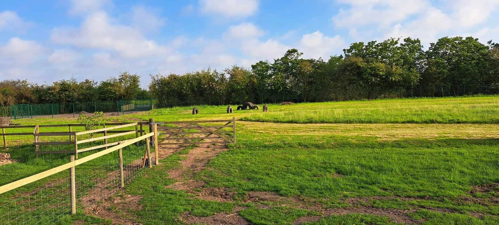 Private Hire Dog Field - Exclusive Field Use for Dog Walks