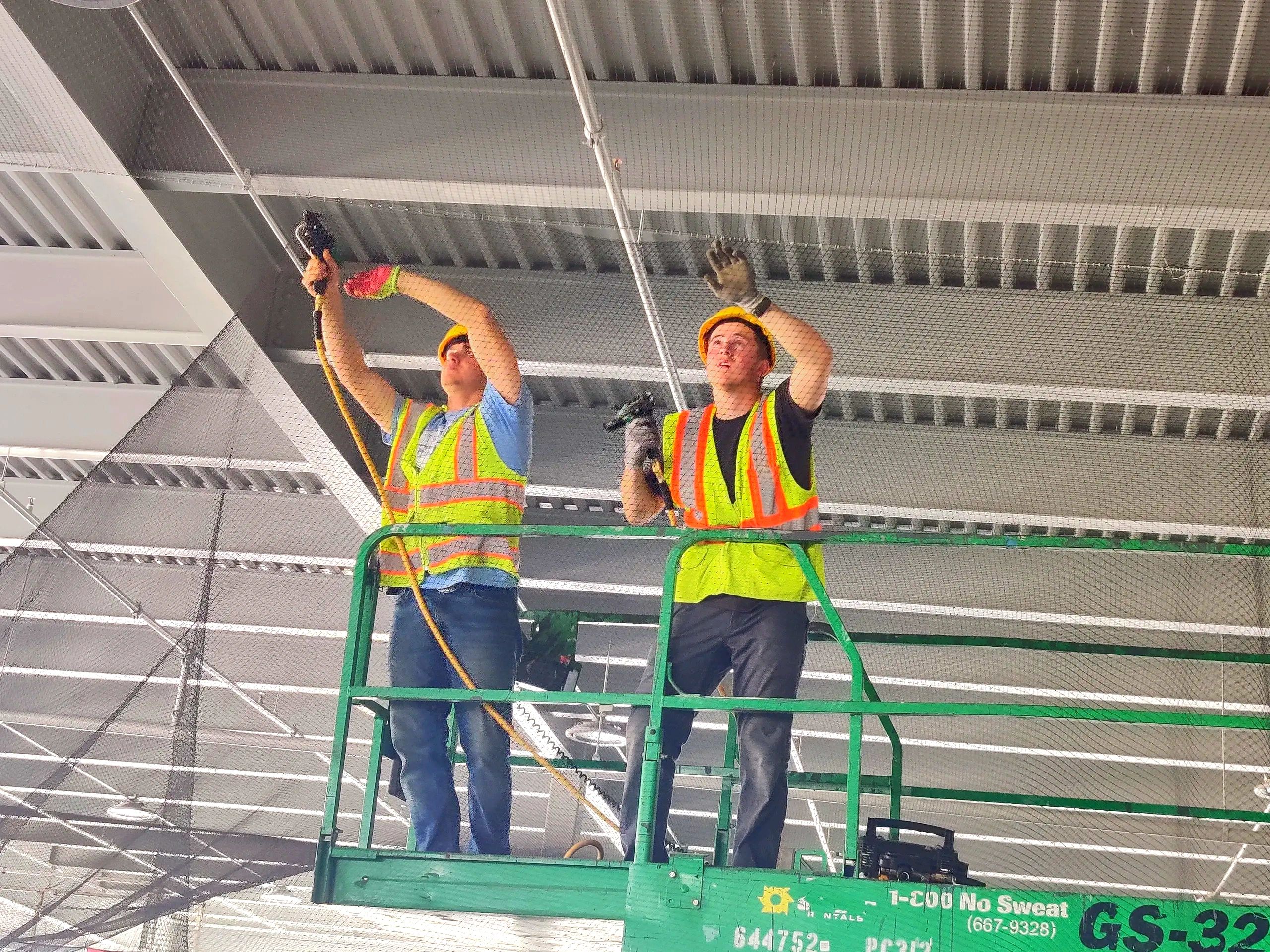 Midwest Bird Control - Bird Pressure, Bird Nesting