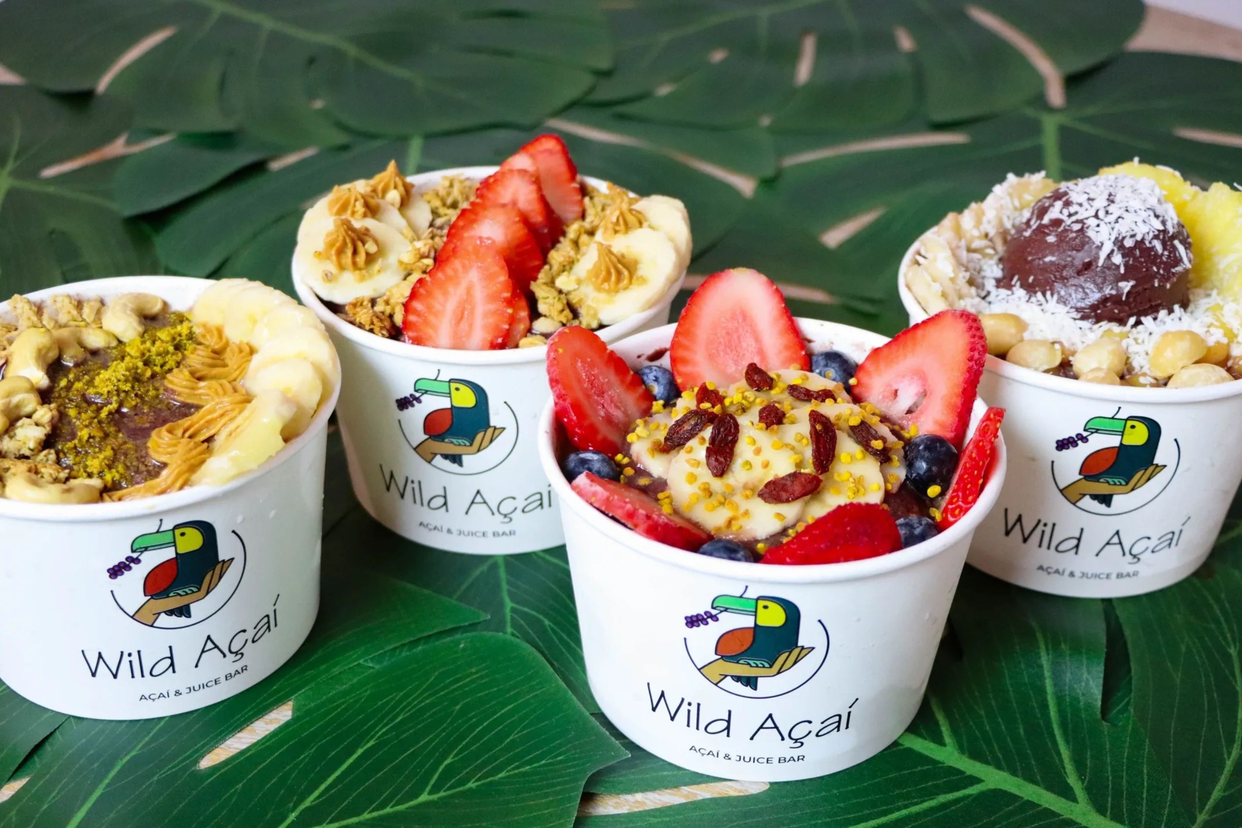Wild Açaí
