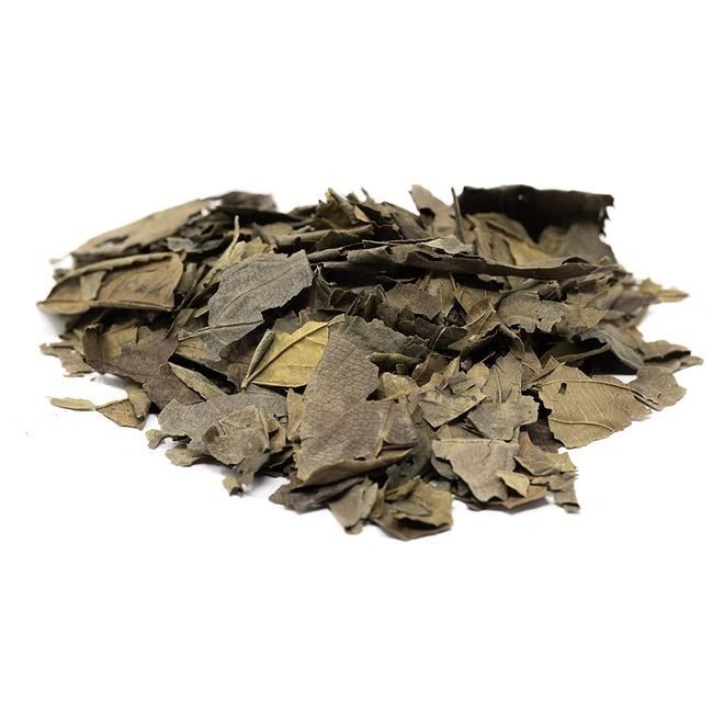 Gesho Kitel | Brewing Hops Leaves