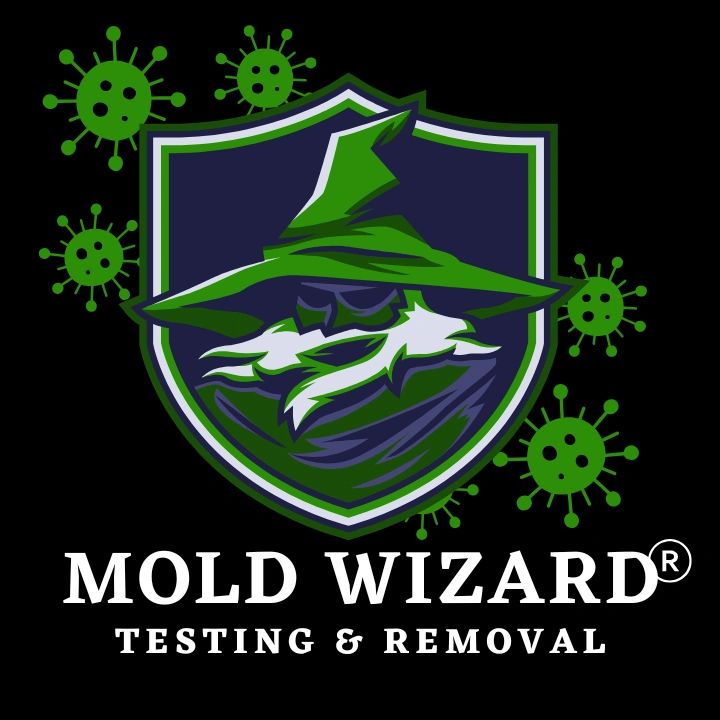 Expert Mold Testing Services