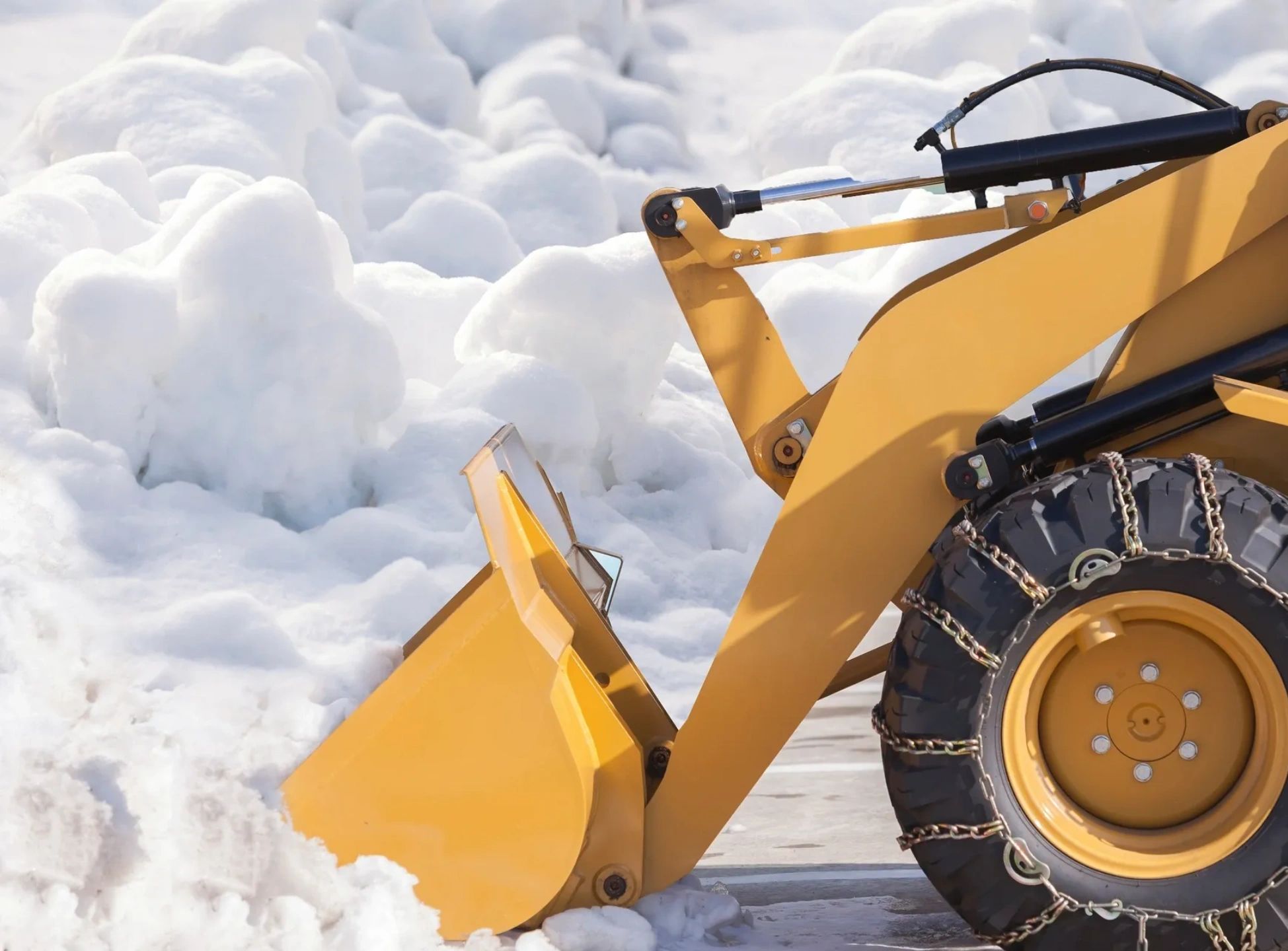 Expert Snow Management Consulting Services