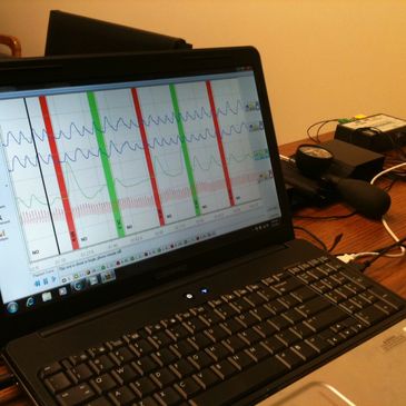 St. Louis Polygraph - St. Louis Polygraph, Exam