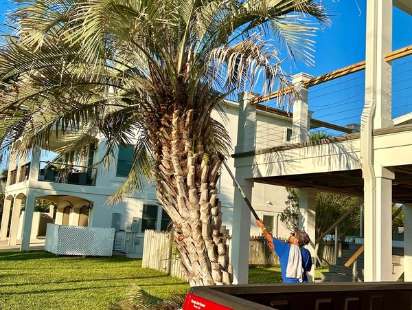 Victory Lawn & Landscape - Home