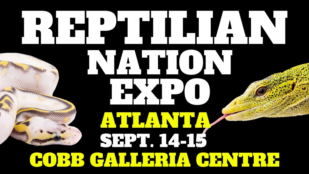 GENERAL INFO | Reptilian Nation Expo