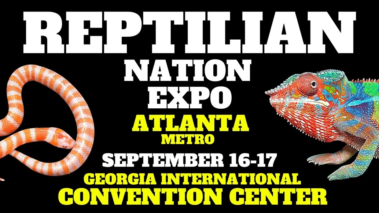 GENERAL INFO | Reptilian Nation Expo