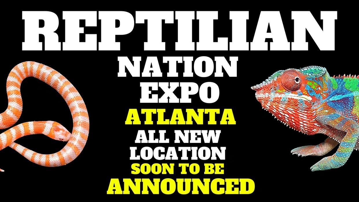 GENERAL INFO | Reptilian Nation Expo