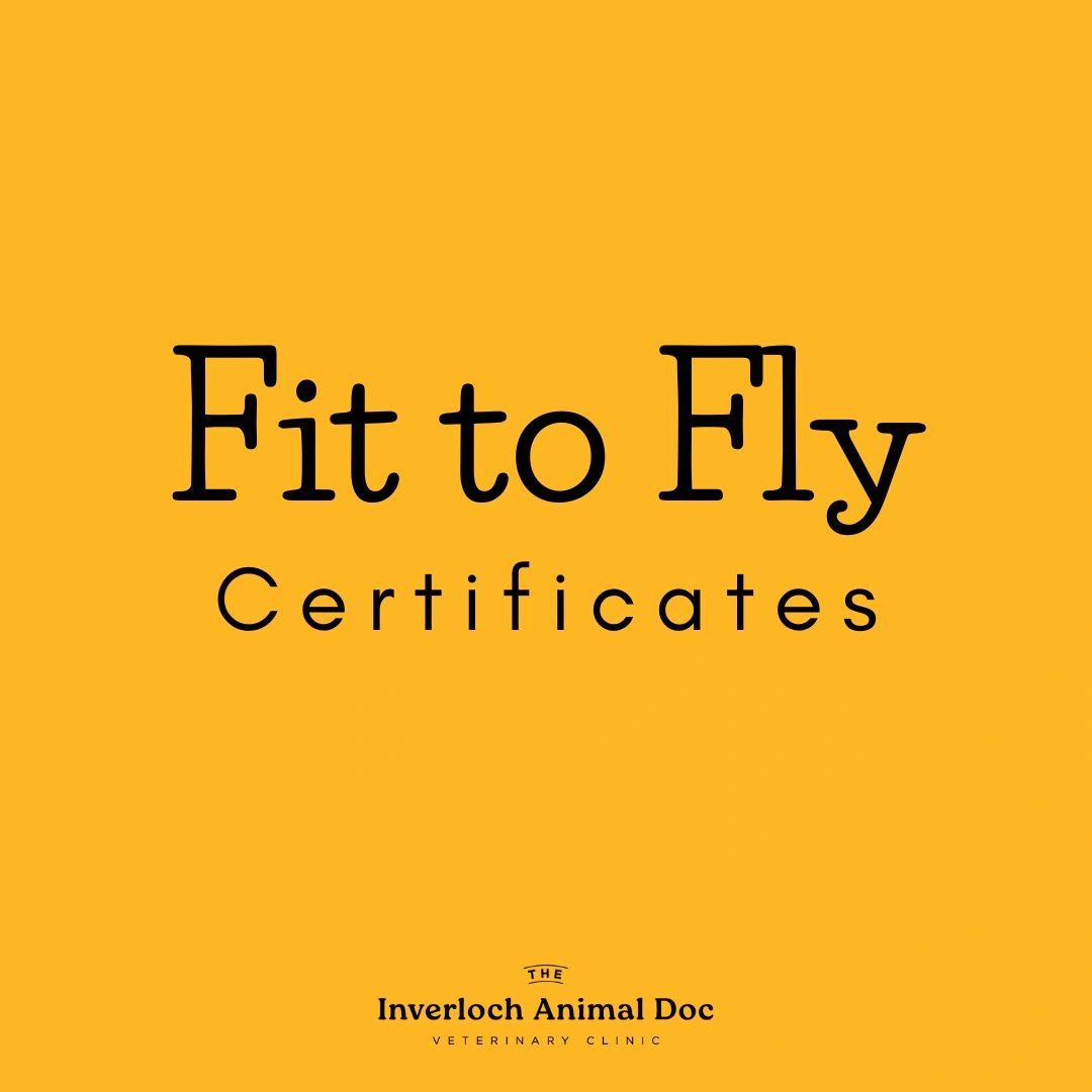 Fit to Fly Certificates