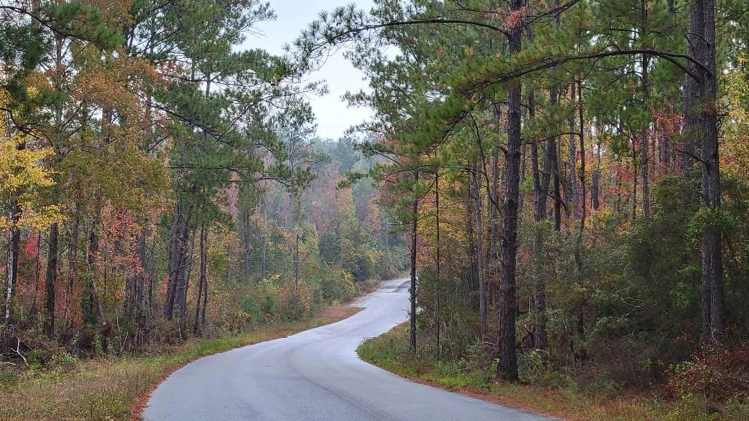 Chill Hill Farms - Online Store