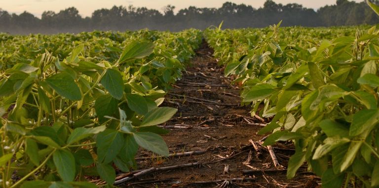 Dee River Ranch - Agriculture, Farming, Sustainable Agriculture