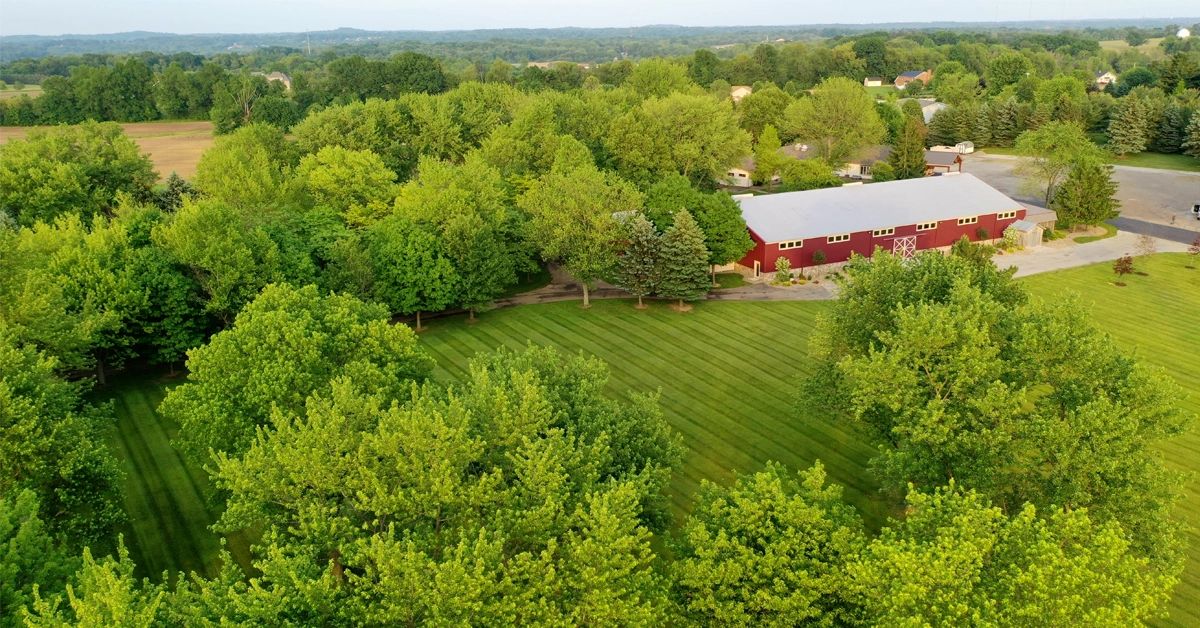 Pine View Acres to Host "Fall Family Fun Run" on October 25th!