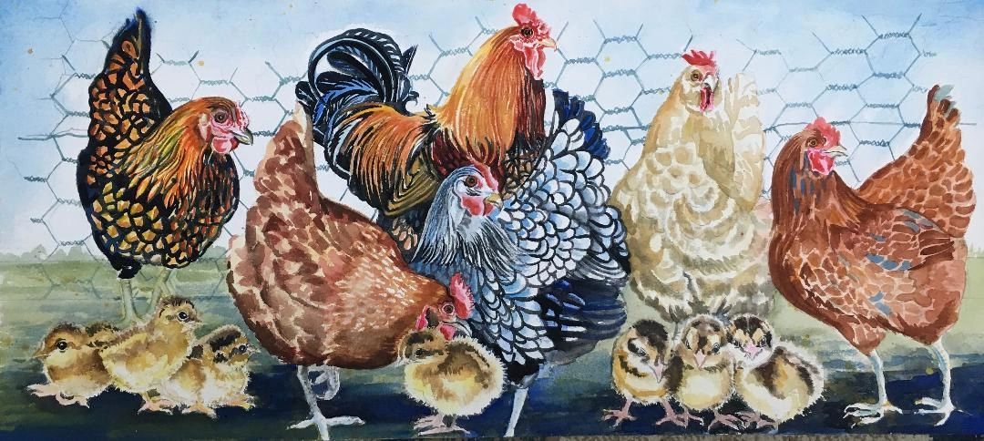 Wonders of Watercolor with Pat Wiles