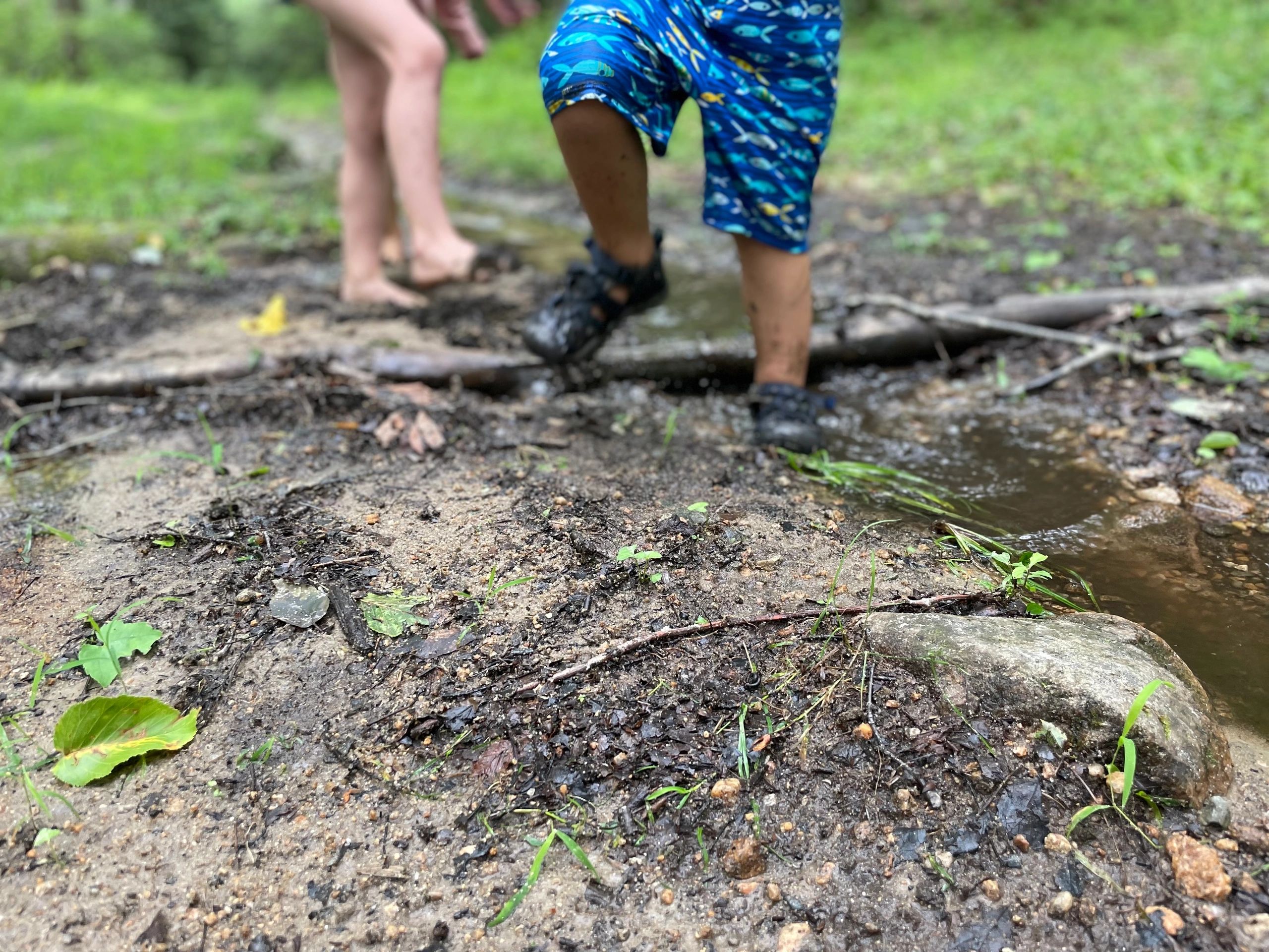 WildRoots Play: A Play Community for Natural Learning