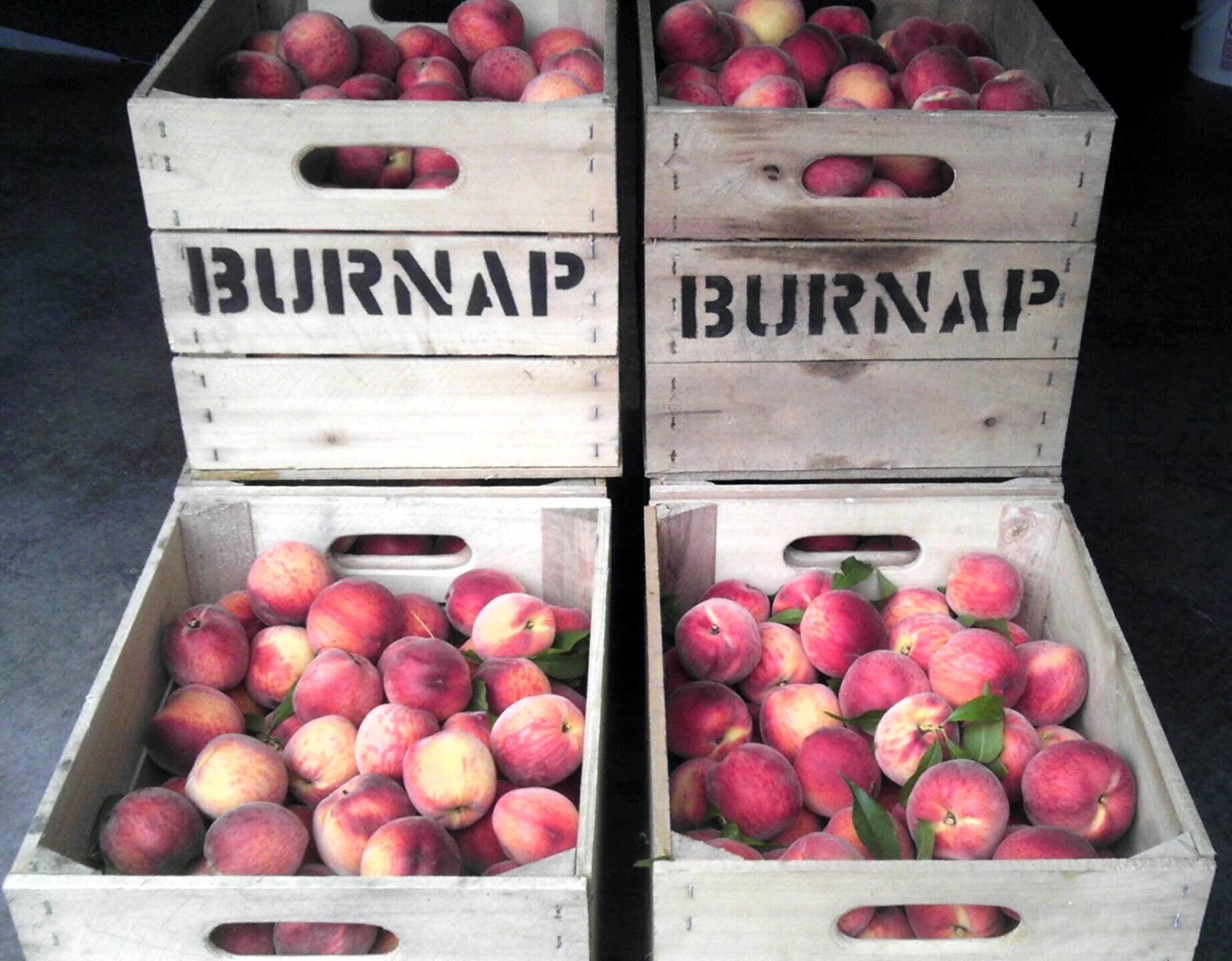 About Us | Burnap's Farm Market