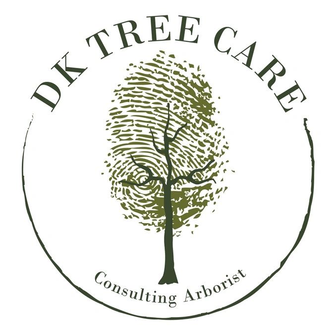 Home - Consulting Arborist Service - DK Tree Care