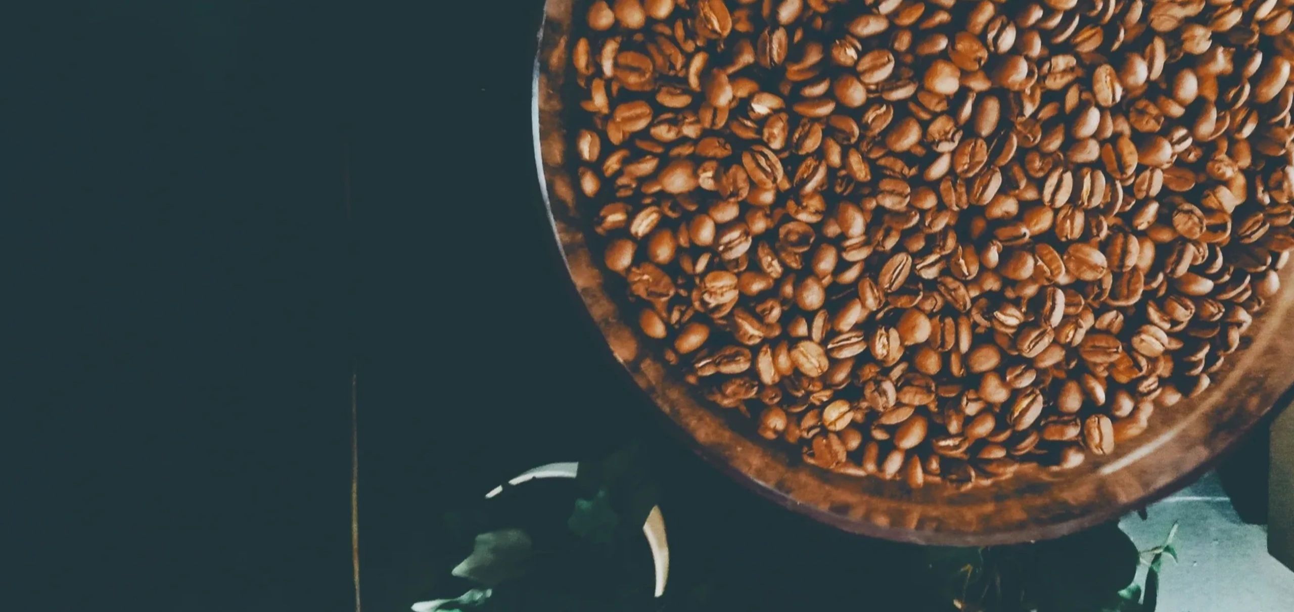 Xander's Cafe - Gluten Free Options, Family Cafe