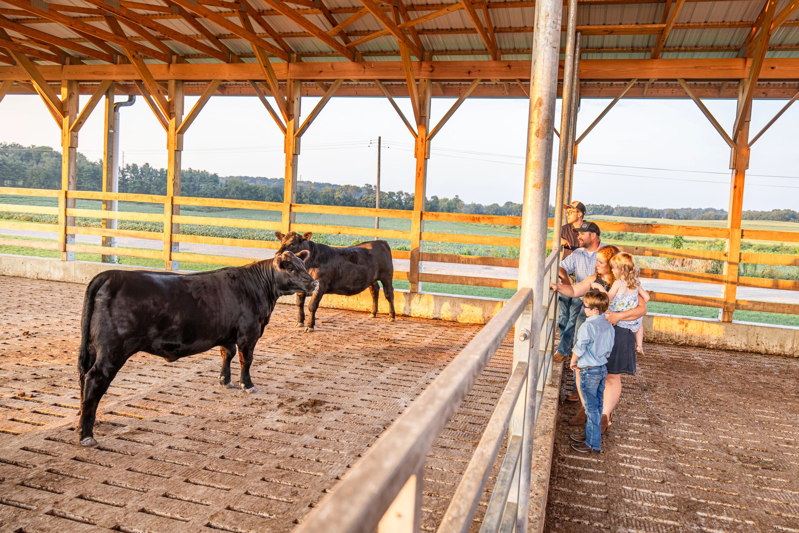 Homegrown Meats and Sustainable Farming Methods