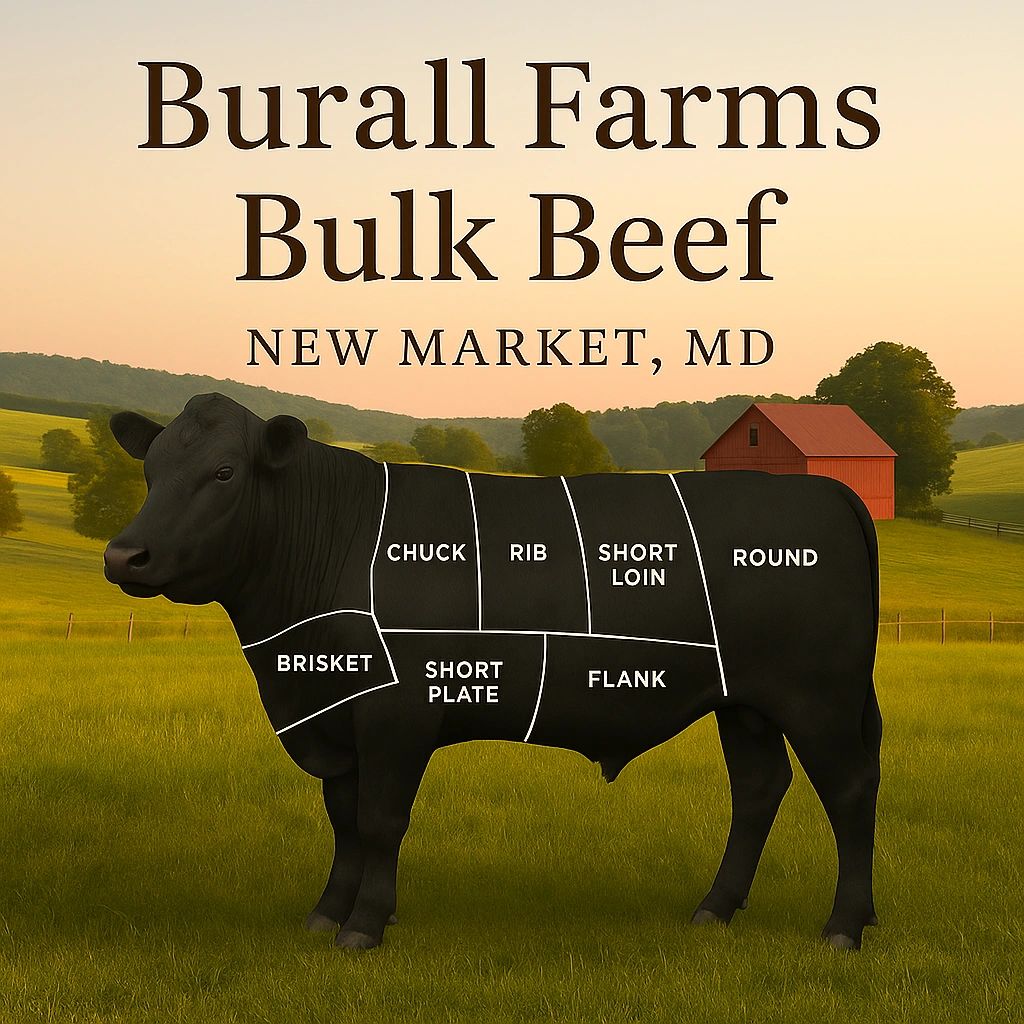 The Ultimate Guide to Cook Every Cut with Burall Farms Bulk Beef