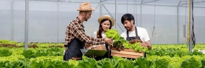 About | Agritec Global Management Group