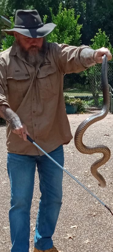 SNAPPY SNAKE CATCHER REPTILE RELOCATOR