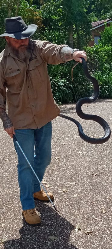 SNAPPY SNAKE CATCHER REPTILE RELOCATOR