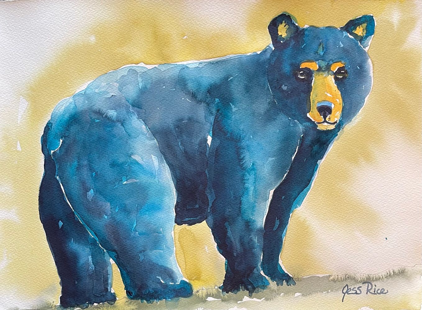 Jess Rice - beginner watercolour classes