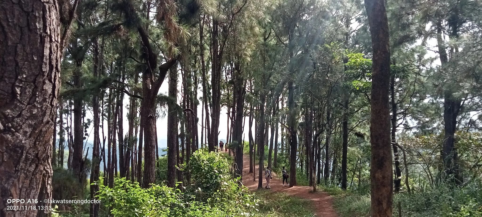 SITIO TALA: THE LITTLE BAGUIO OF TARLAC