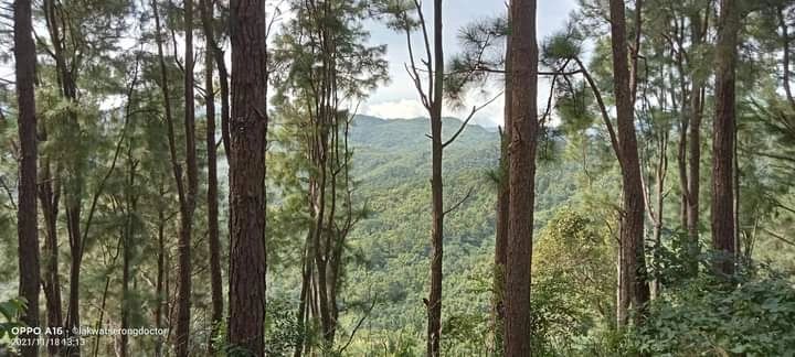 SITIO TALA: GIVING VISITORS A BAGUIO-FEEL LIKE AMBIANCE